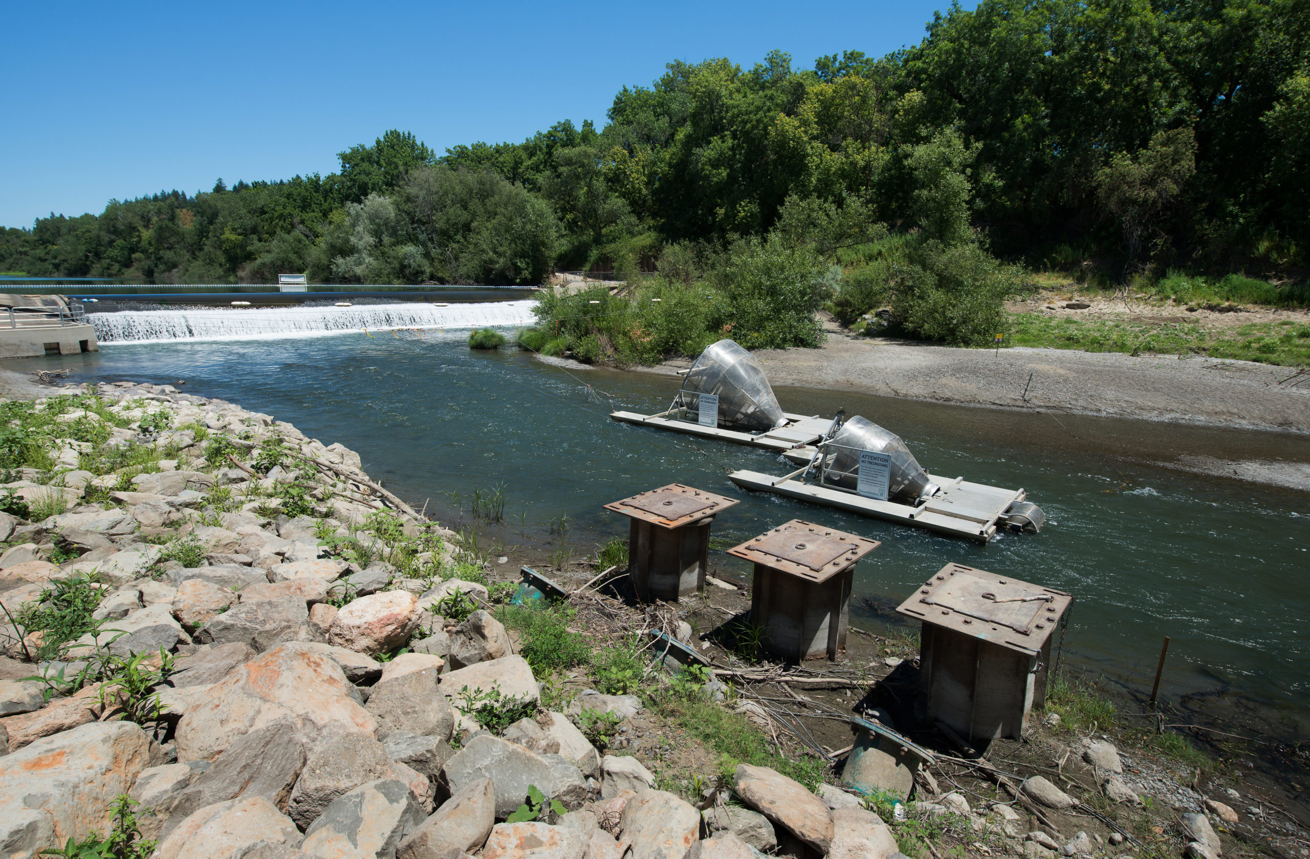 Russian River ‘revitalization’ targets improved health of crucial ...